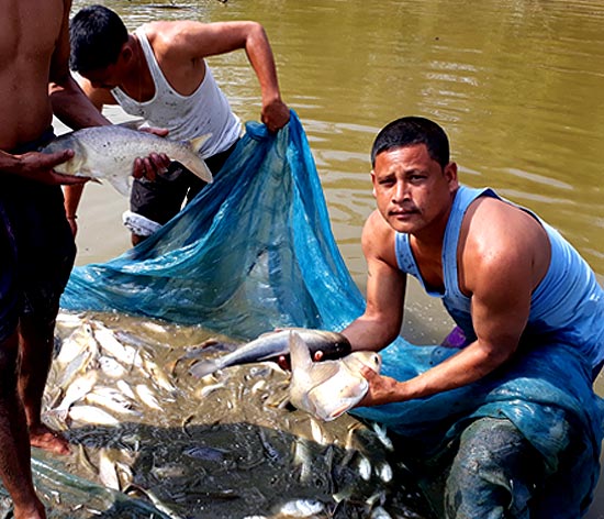 Fishing for a better living - Transforming lives - Tata Trusts