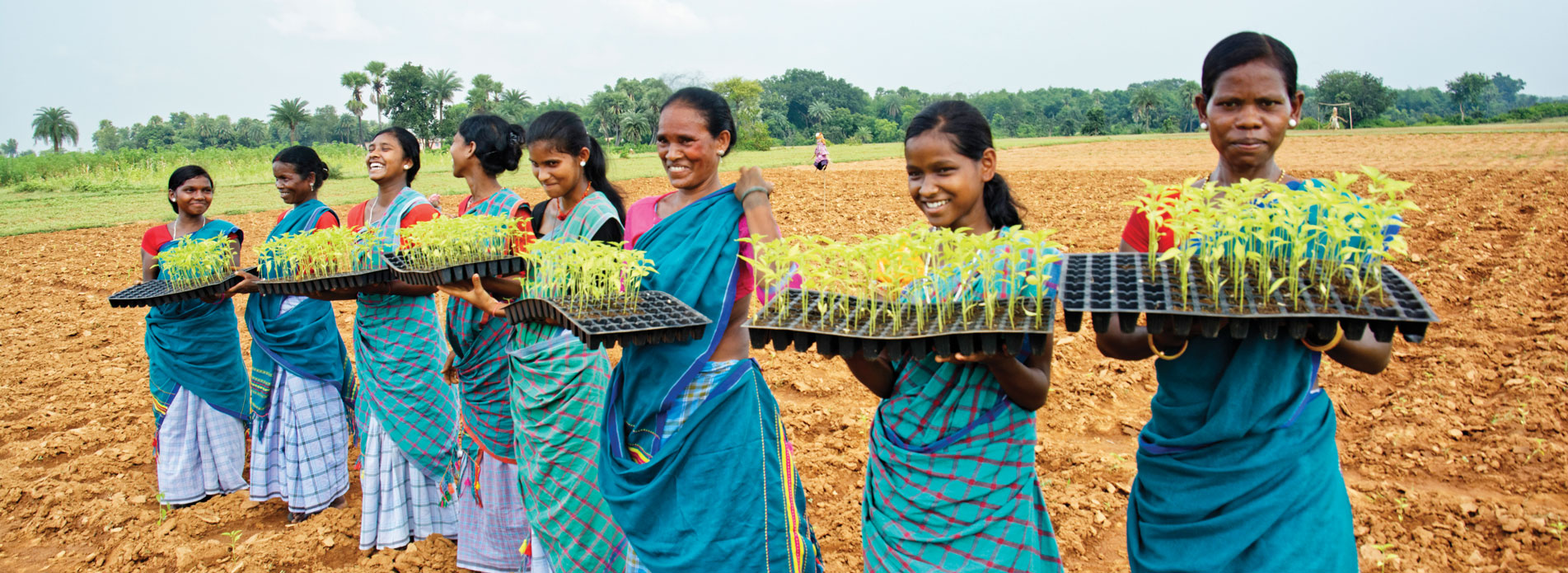 Community Institutions - Tata Trust