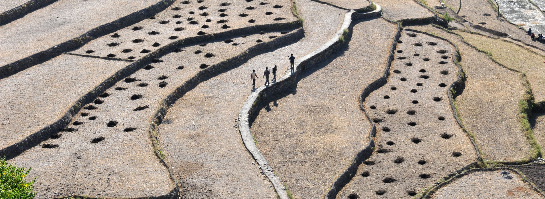 Springshed management in the north east - Tata Trusts