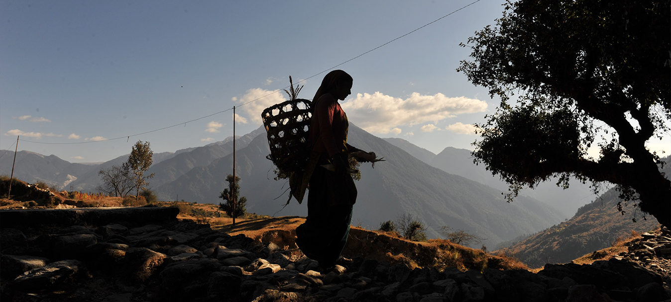 Integrated springshed management interventions in the Indian Himalayan ...