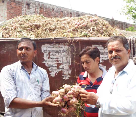 Enhancing agricultural productivity - Transforming lives - Tata Trusts