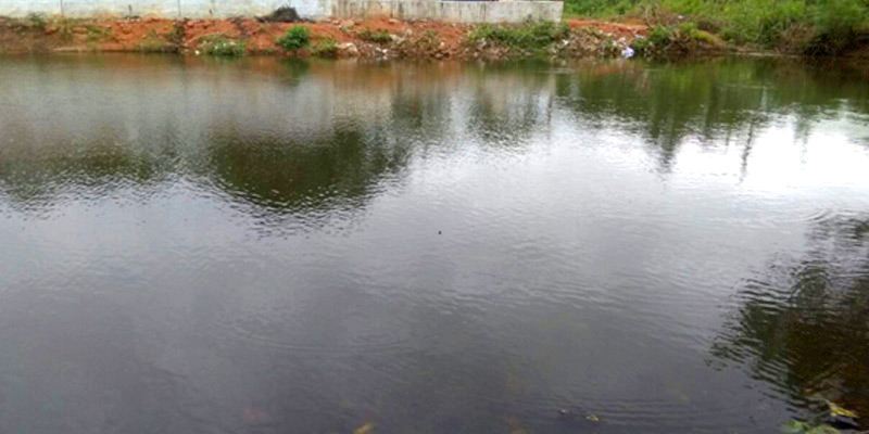 The rockstars of Vangara - Transforming lives - Tata Trusts